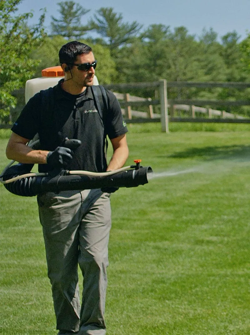 Massachusetts Natural Mosquito, Tick Control & Organic Lawn Care